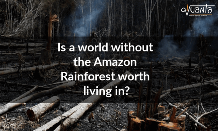 Is a world without the Amazon Rainforest worth living in? - iQuanta
