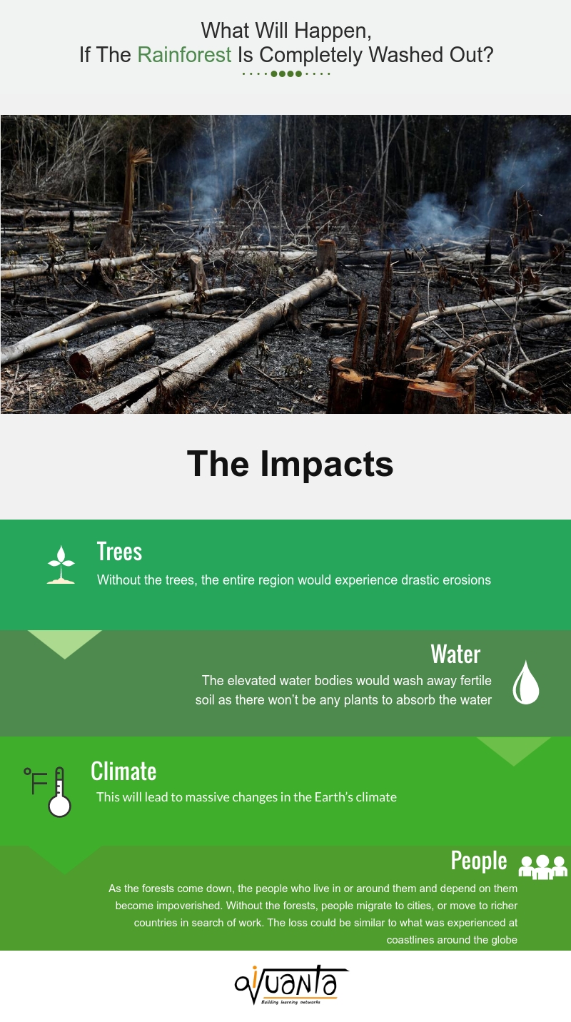 Is a world without the Amazon Rainforest worth living in? | iQuanta