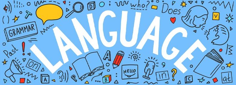 CUET Strategy 2024 : How & Where to Prepare From - iQuanta