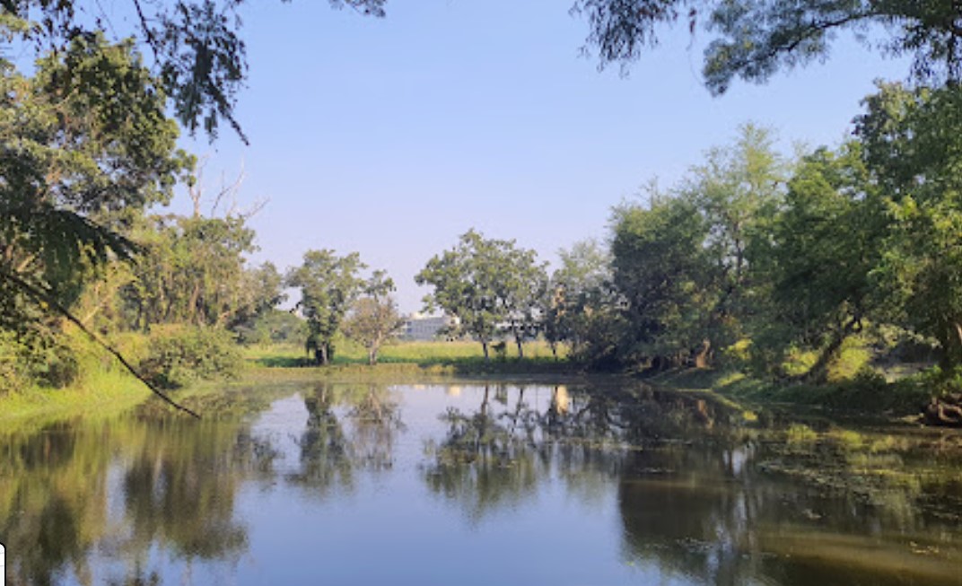 IIM Calcutta : Campus, Courses, Cut-offs, Alumni & More - iQuanta