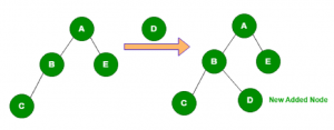 Tree in Data Structure Explained: Types & Key Operations - iQuanta