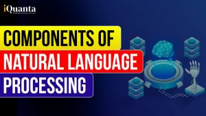 Natural Language Processing : Its Components & Working - iQuanta