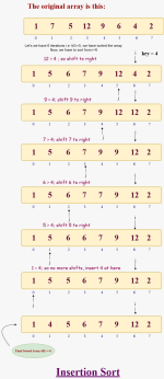 Insertion Sort Algorithm with Complexity Analysis - iQuanta